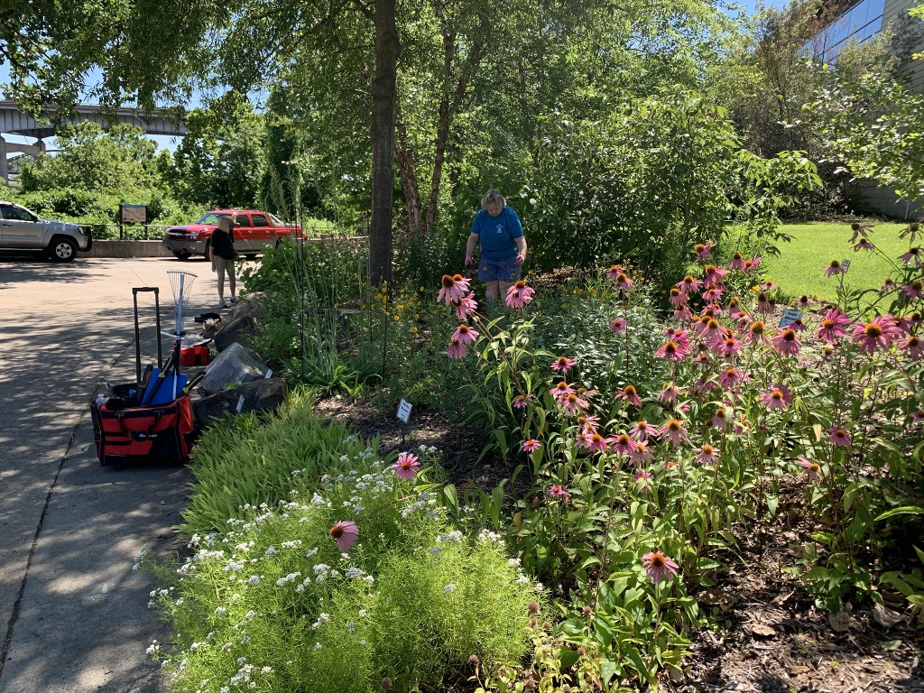 Witt Stephens: 2021 Project Photos | Pulaski County Master Gardeners