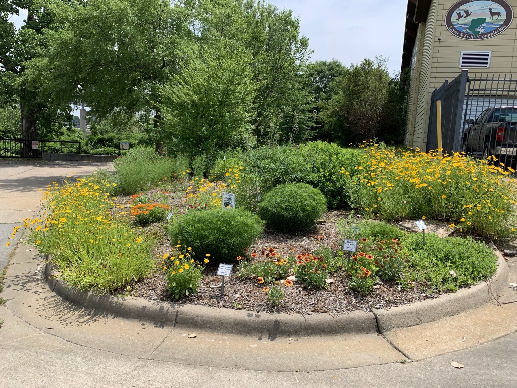 Witt Stephens: 2021 Project Photos | Pulaski County Master Gardeners