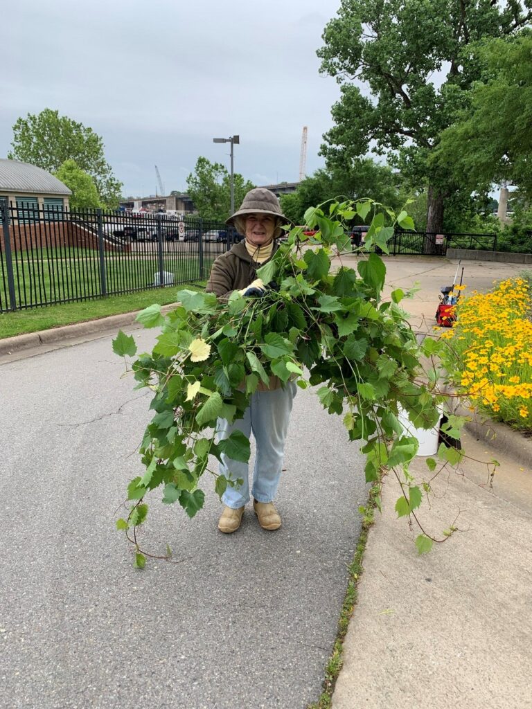Witt Stephens: 2021 Project Photos | Pulaski County Master Gardeners