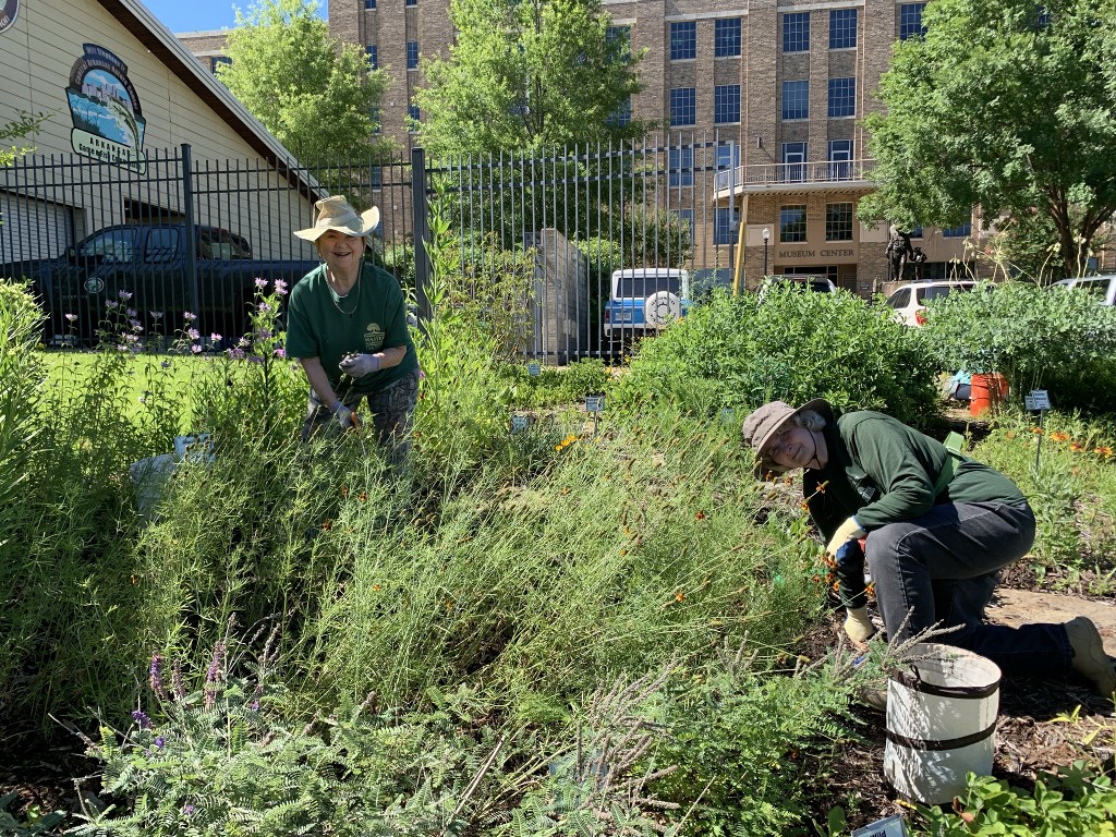 Witt Stephens: 2021 Project Photos | Pulaski County Master Gardeners