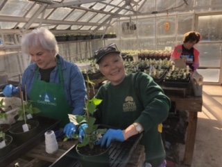 Annual Pathfinder Greenhouse Plant Sale | Pulaski County Master Gardeners